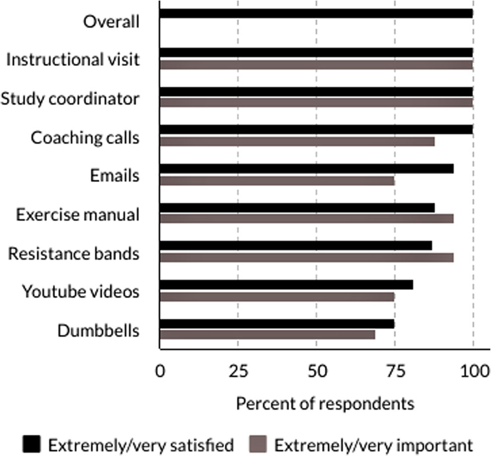 Feasibility and Acceptability of Home-Based Strength Training in ...