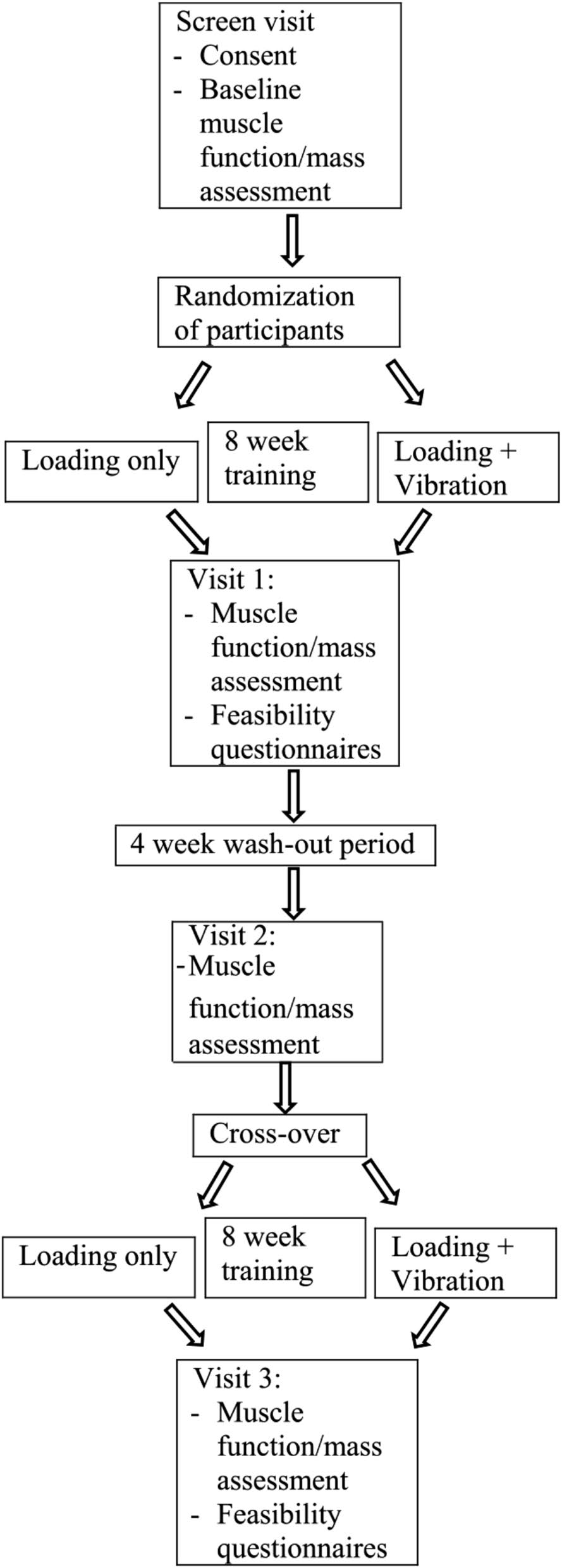 Efect of semi-recumbent vibration exercise on muscle outcomes in older ...